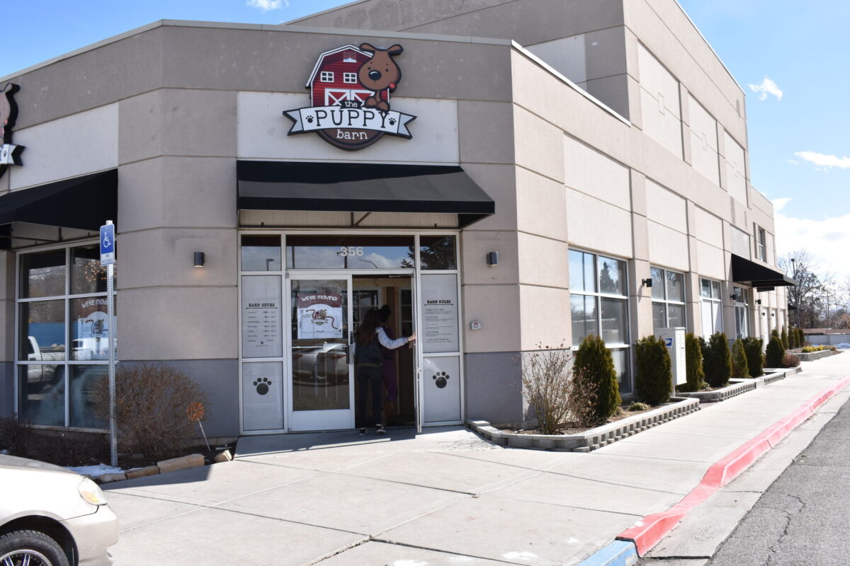 Puppy Barn moves to Saratoga Springs | News, Sports, Jobs - Daily Herald